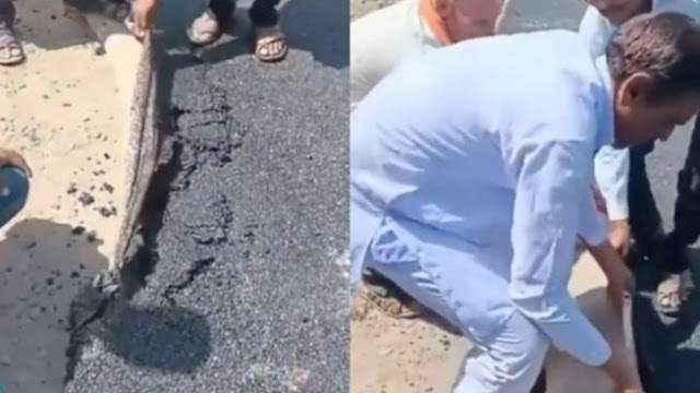 Lebih Parah dari Lampung, Aksi Warga di India Melipat Jalanan yang Baru ...
