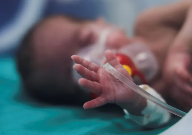 Alhamdulillah!, 28 Bayi Prematur dari RS Al Syifa Kini Dirawat di RS ...